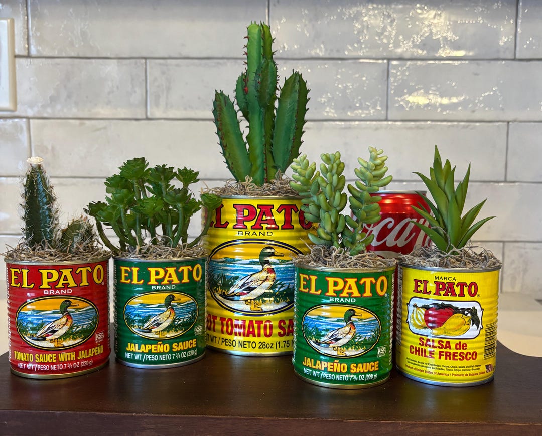 Succulent, Faux Cactus in El Pato Sauce Can: Mexican Food Party ...
