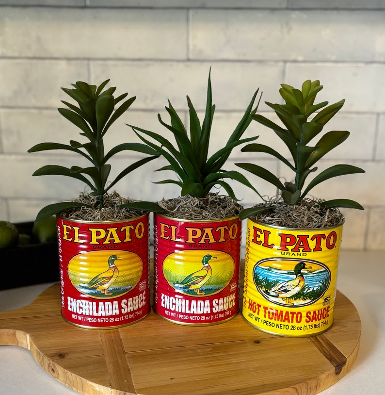 Faux Succulent in El Pato Can: Mexican Food, Kitchen Decor, Centerpiece ...