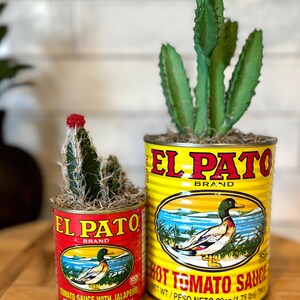 Faux Cactus in El Pato Can: Mexican Kitchen Decor Centerpiece - Etsy