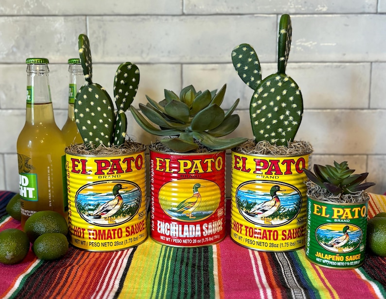 El Pato Can Succulent: Mexican Kitchen Decor Centerpiece - Etsy