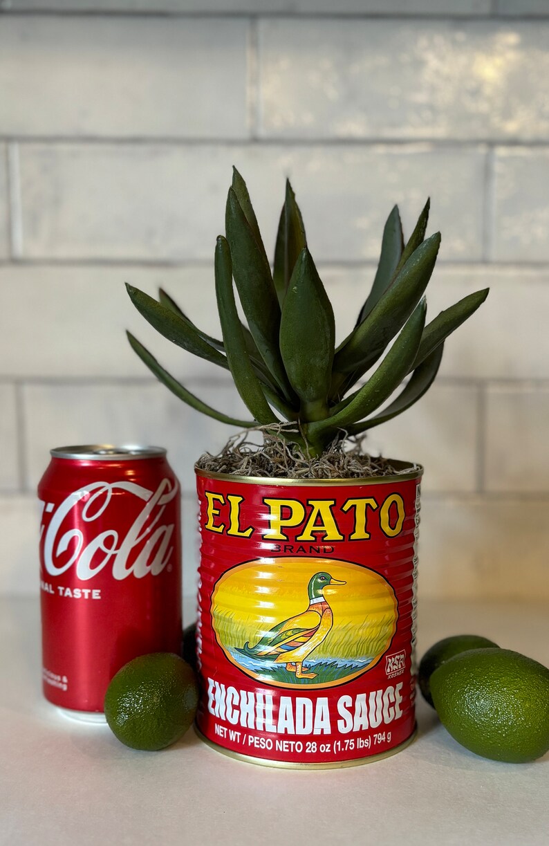 Faux Succulent in El Pato Can: Mexican Kitchen Decor, Centerpiece - Etsy