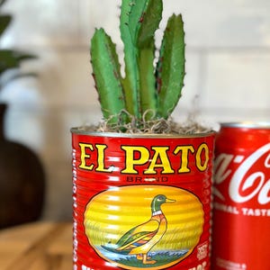 Faux Cactus in El Pato Can: Mexican Kitchen Decor Centerpiece - Etsy