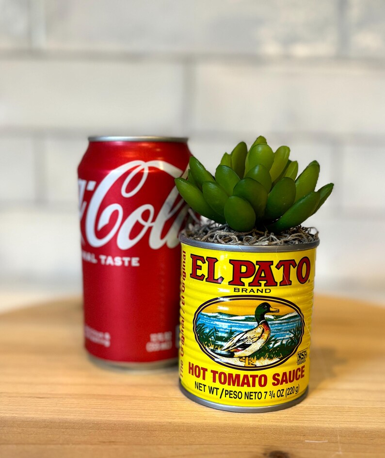 Faux Cactus: Succulent, Mexican Kitchen Decor - Etsy