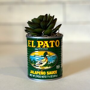Tiered Tray Plant, Faux Cactus/succulent in Small El Pato Can, Colorful ...