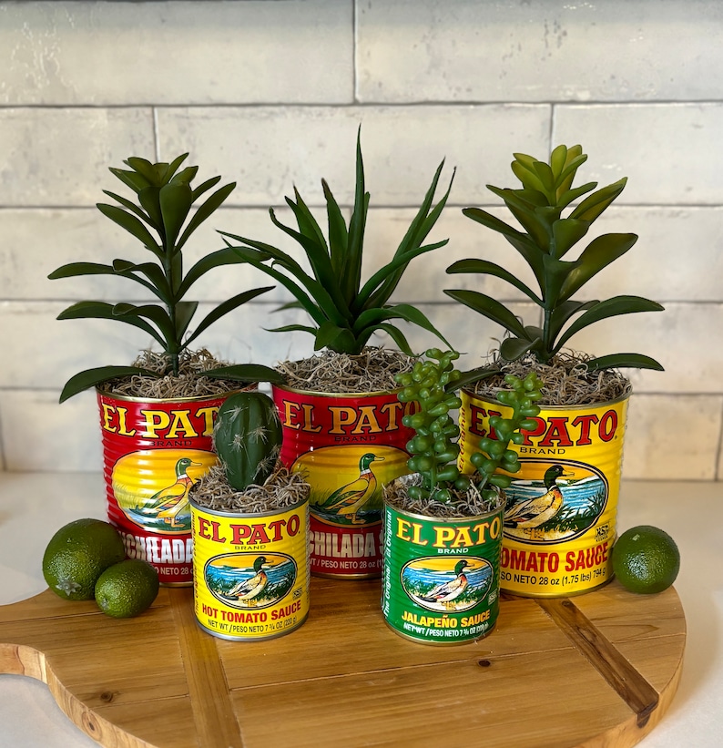 Faux Succulent in El Pato Can: Mexican Food, Kitchen Decor, Centerpiece ...