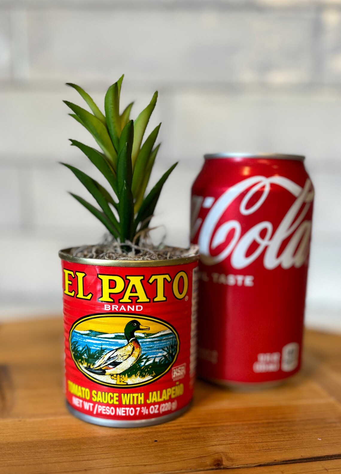 El Pato Can Succulent: Mexican Kitchen Decor Centerpiece - Etsy