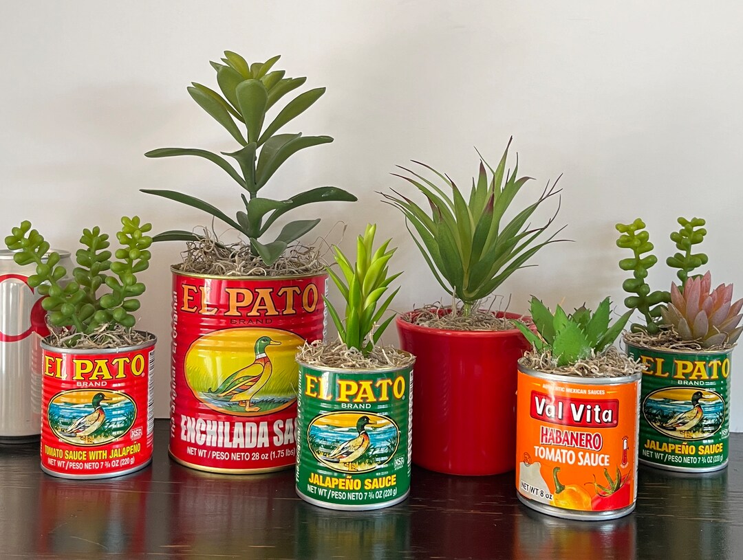 Small Faux Succulents, El Pato Sauce Cans, Cinco De Mayo Party, Festive ...