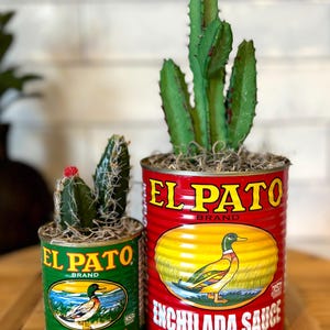 Faux Cactus in El Pato Can: Mexican Kitchen Decor Centerpiece - Etsy