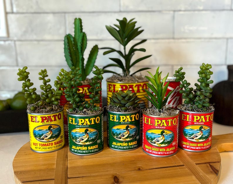 El Pato Can Succulent: Mexican Kitchen Decor Centerpiece - Etsy