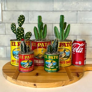 Faux Cactus in El Pato Can: Mexican Kitchen Decor Centerpiece - Etsy
