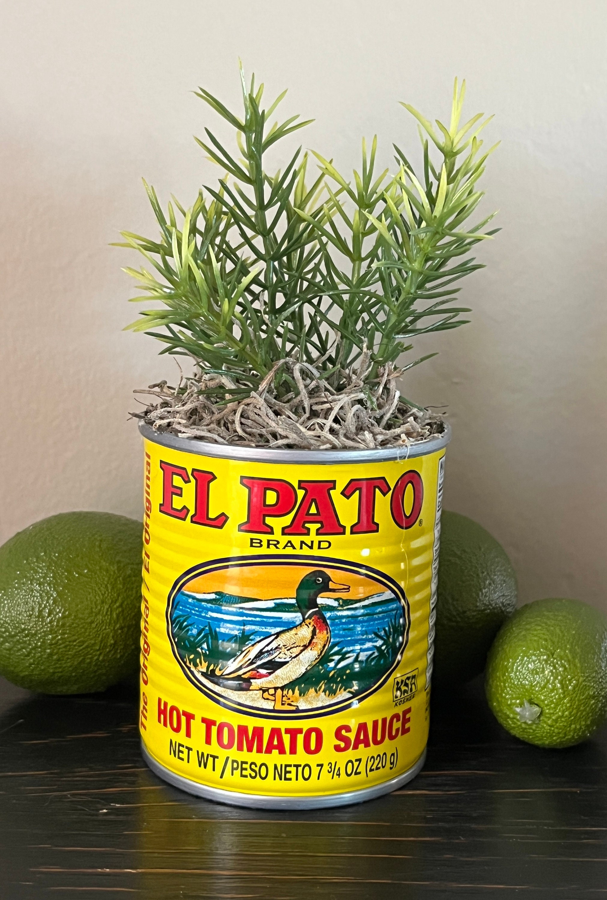 El Pato Can Succulent: Mexican Kitchen Decor Centerpiece - Etsy