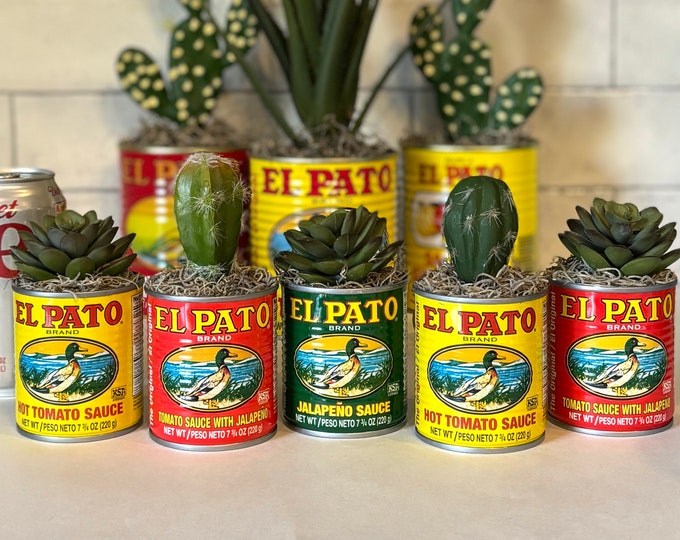 Tiered Tray Plant, Faux Cactus/succulent in Small El Pato Can, Colorful ...