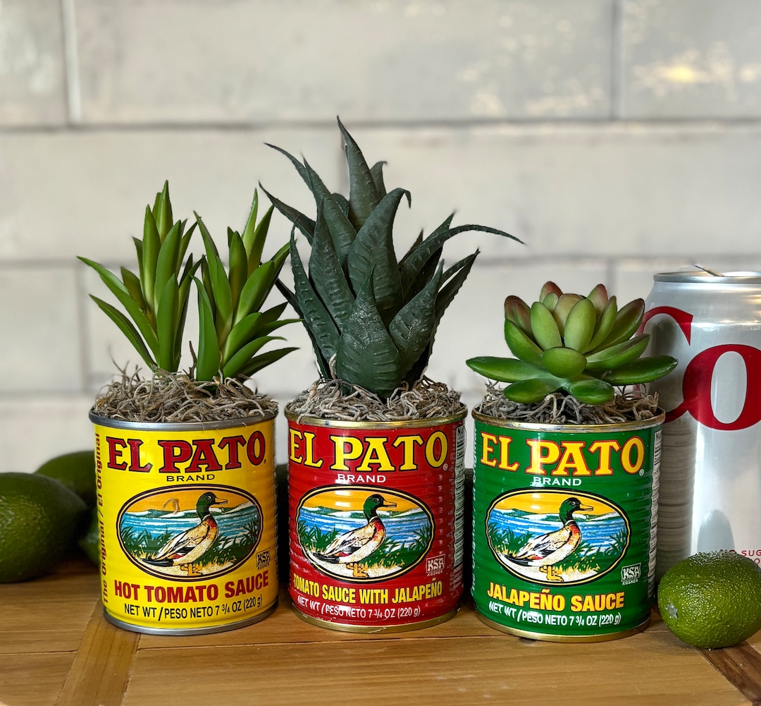 Faux Succulent El Pato Can: Mexican Decor, Centerpiece - Etsy