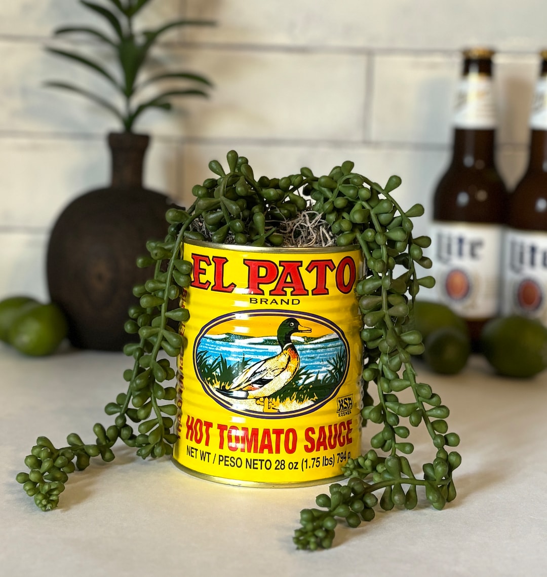 Faux Succulent, Mexican Kitchen Decor, Centerpiece, El Pato Sauce Can ...