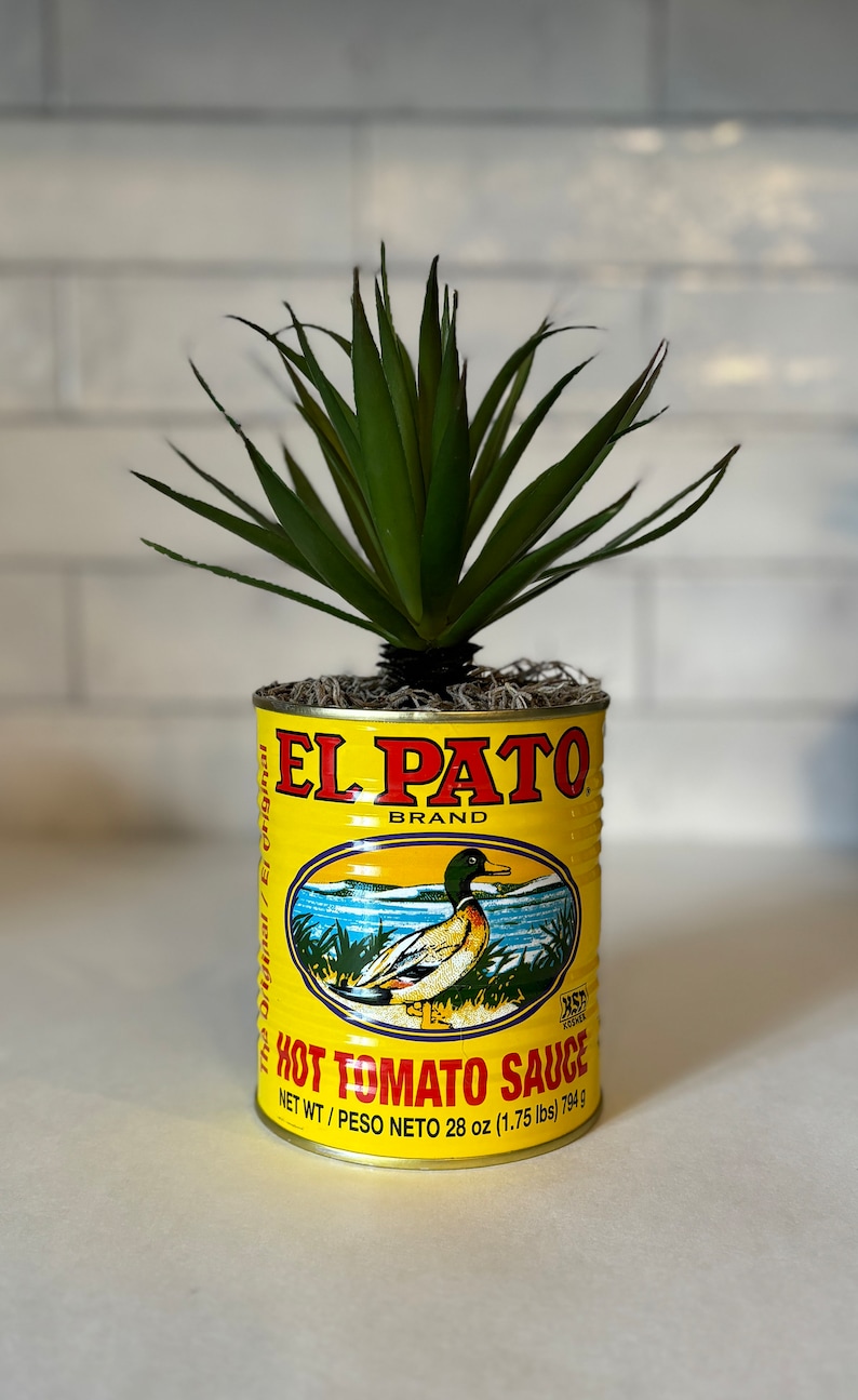 Faux Succulent in El Pato Can: Mexican Kitchen Decor, Centerpiece - Etsy
