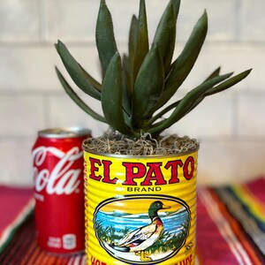 El Pato Can Succulent: Mexican Kitchen Decor Centerpiece - Etsy