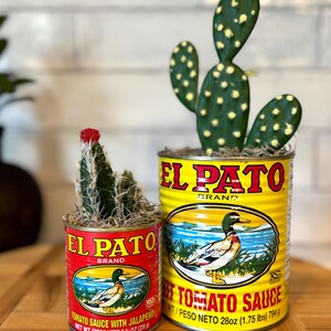 Faux Cactus in El Pato Can: Mexican Kitchen Decor Centerpiece - Etsy