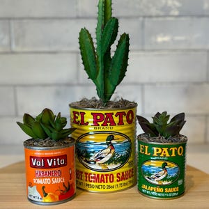Kitchen Decor, Faux Succulent in Small El Pato Sauce Can, Mexican Theme ...