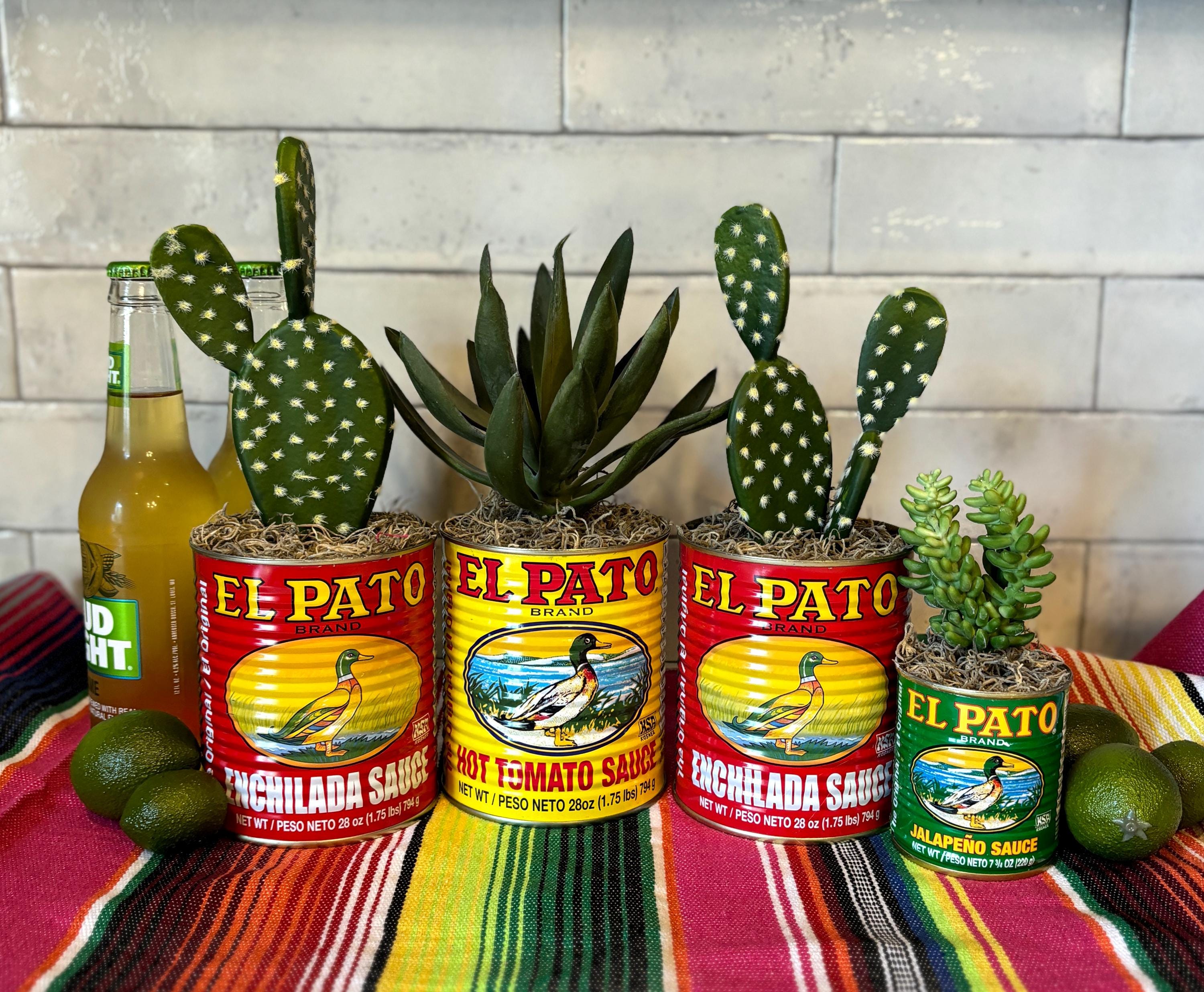El Pato Can Succulent: Mexican Kitchen Decor Centerpiece - Etsy