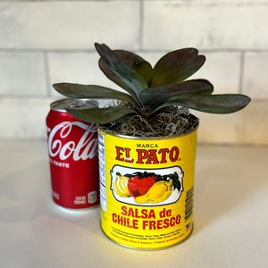 Mexican Food Table Centerpiece: Faux Succulent in El Pato Can - Etsy