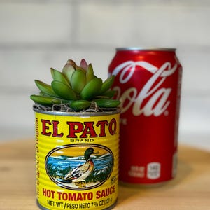 Kitchen Decor, Faux Succulent in Small El Pato Sauce Can, Mexican Theme ...