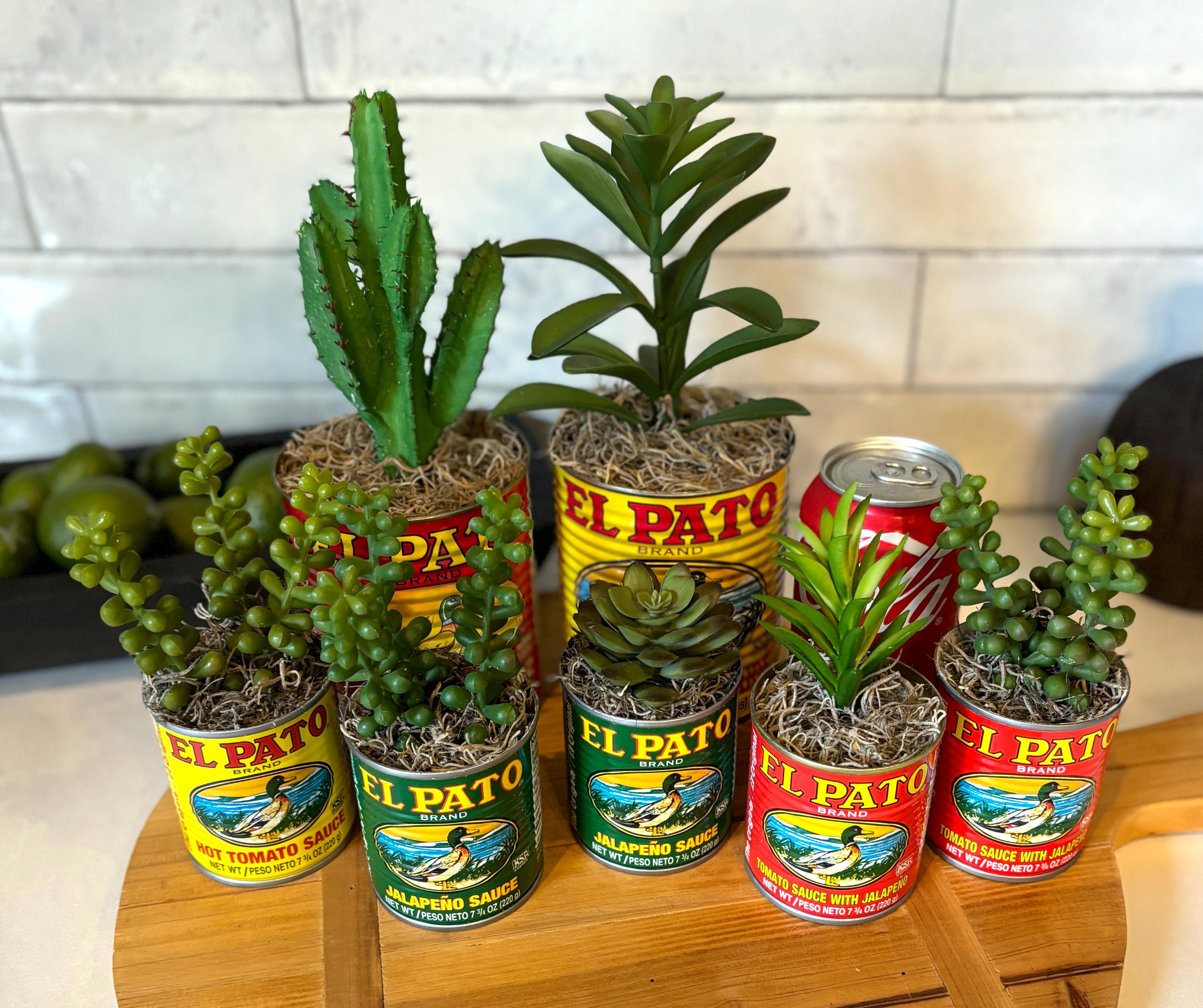 El Pato Can Succulent: Mexican Kitchen Decor Centerpiece - Etsy