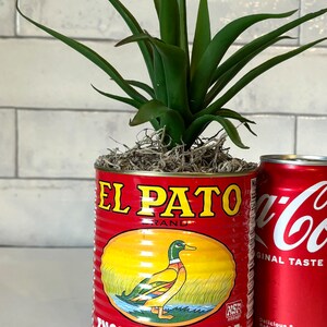 Faux Succulent in El Pato Sauce Can: Mexican Fiesta Decor - Etsy