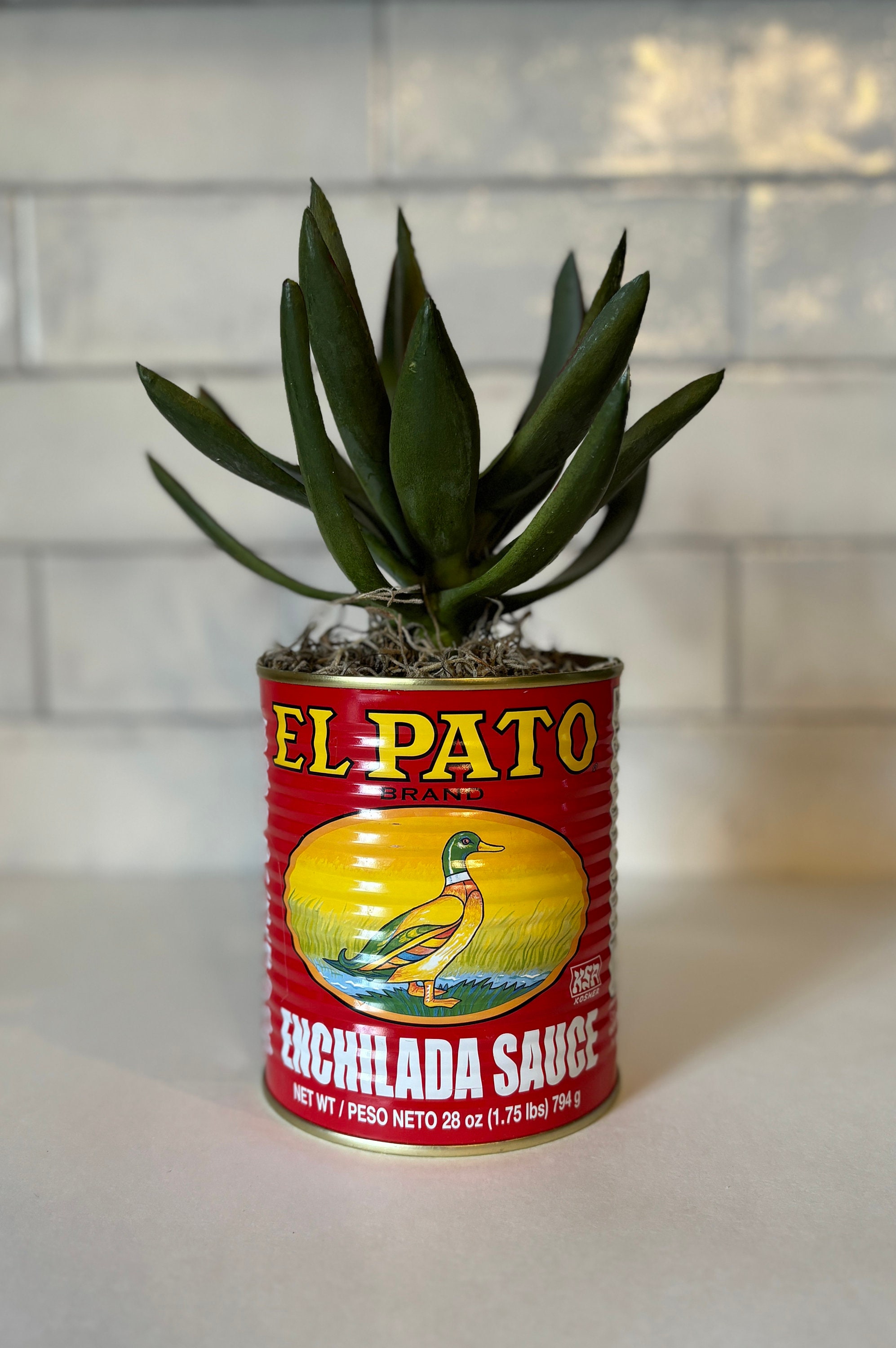 Faux Succulent in El Pato Can: Mexican Kitchen Decor Centerpiece - Etsy