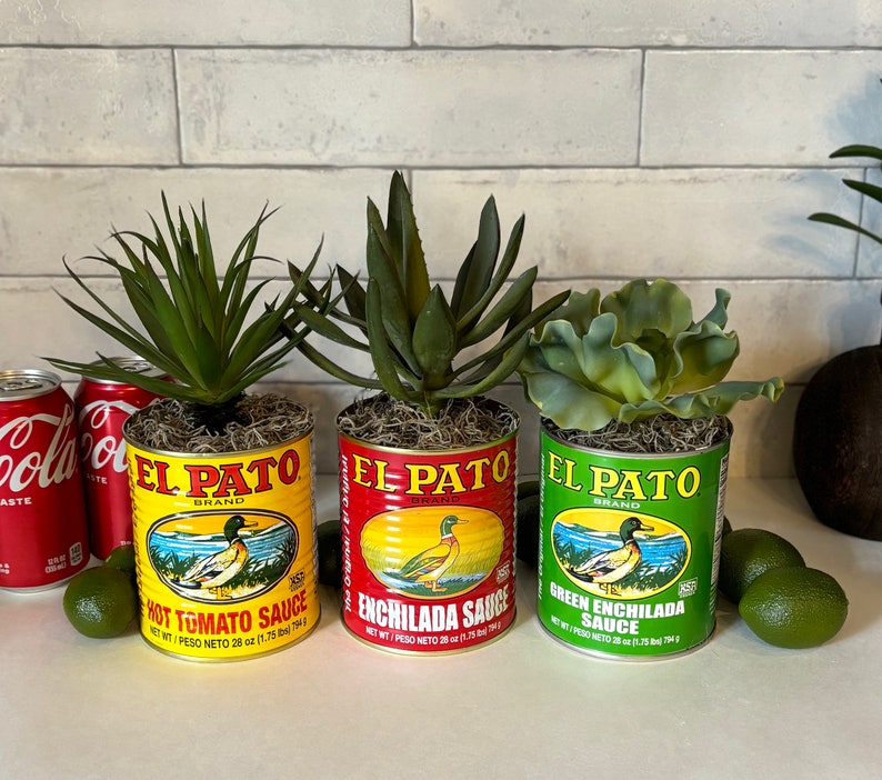 Faux Succulent in El Pato Can: Mexican Kitchen Decor, Centerpiece - Etsy