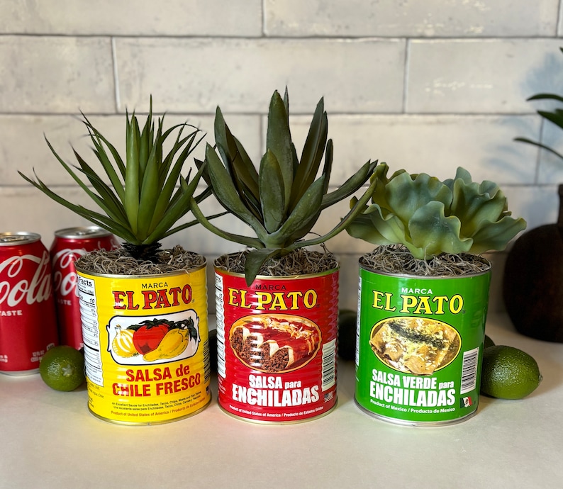 Faux Succulent in El Pato Can: Mexican Kitchen Decor, Centerpiece - Etsy