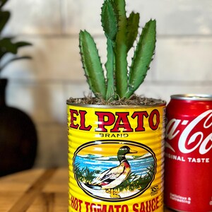Faux Cactus in El Pato Can: Mexican Kitchen Decor Centerpiece - Etsy