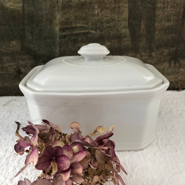 Apilco - Etsy