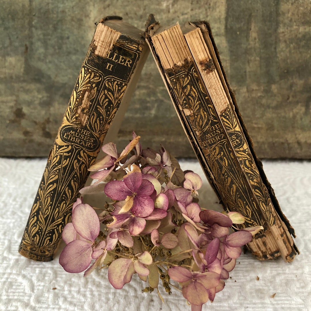 Antique Tattered and Torn Poetry Books From the Muses Library, Set of ...