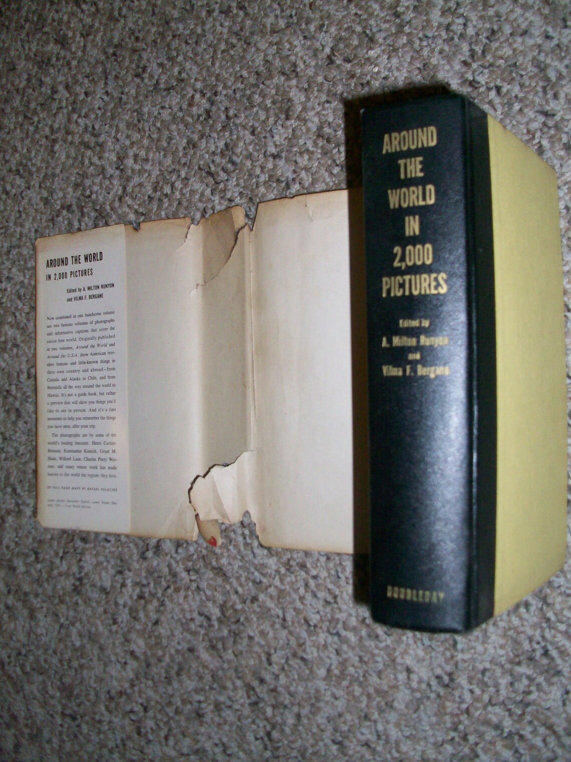 Illustrated Book around the World in 2000 - Etsy