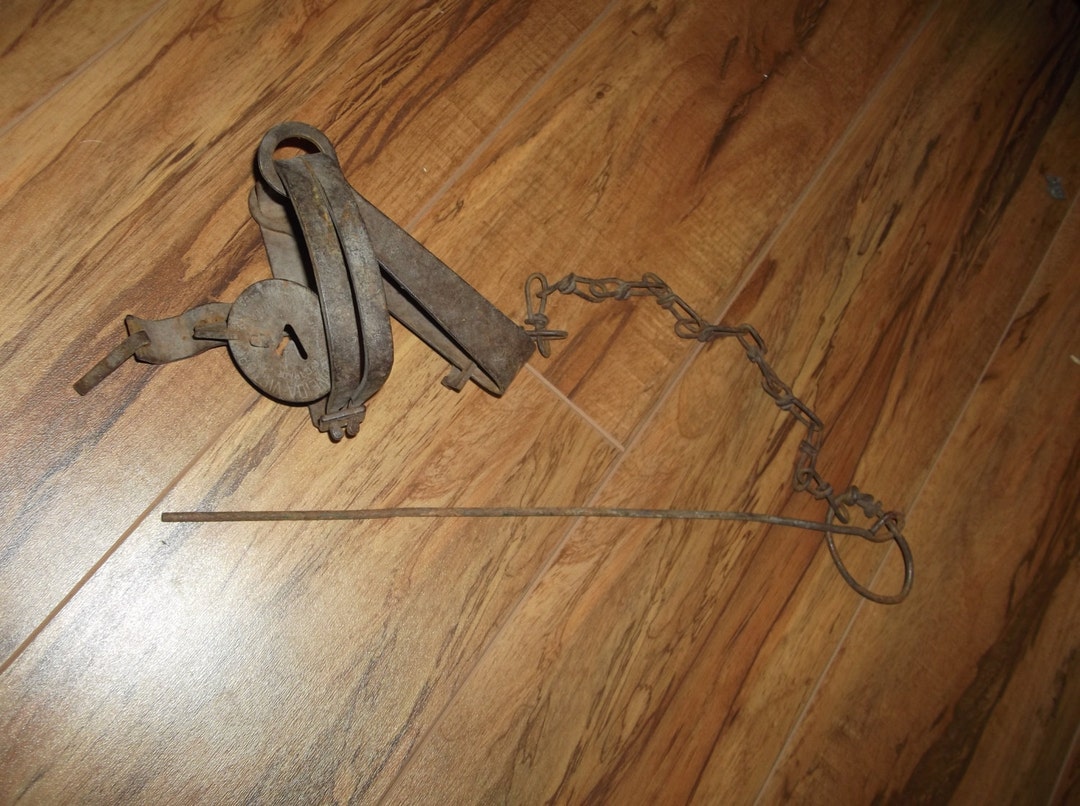Antique Small Game Trap - Etsy