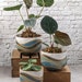 Ceramic Planter Ocean Waves Pot 4" - Etsy