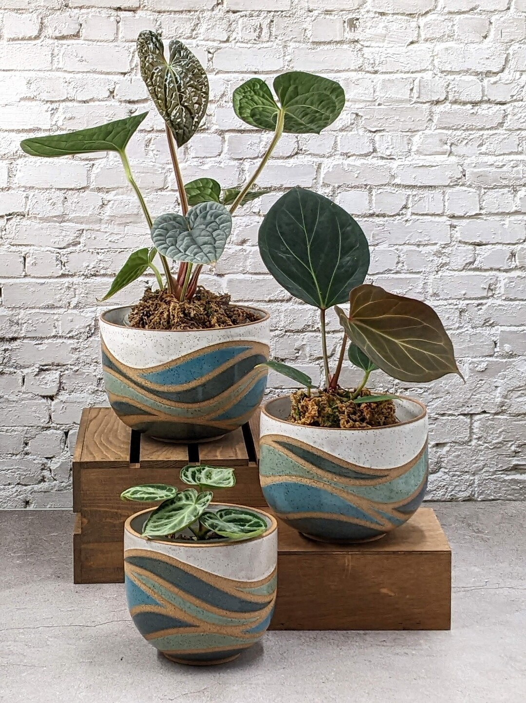 6" Ceramic Planter Ocean Waves Pot - Etsy