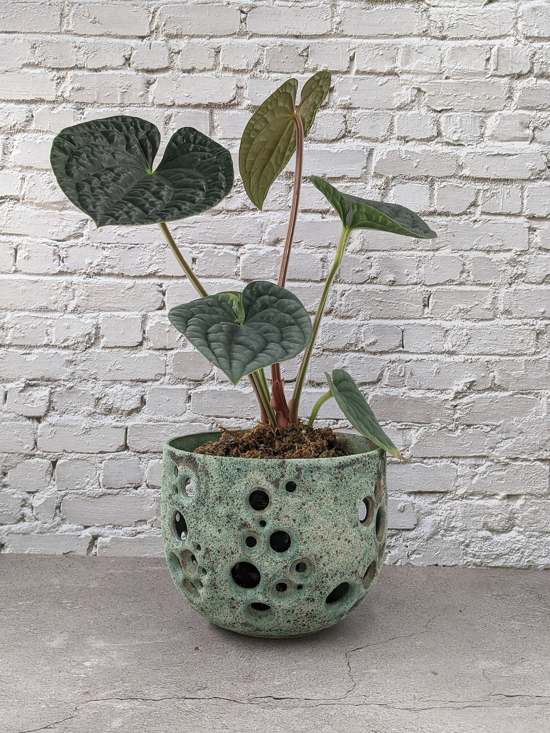 Ceramic Orchid Planter Luminary Lava Pot 6" - Etsy