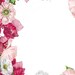 Floral Writing Paper Digital Download Roses Poppies Bougainvillea ...
