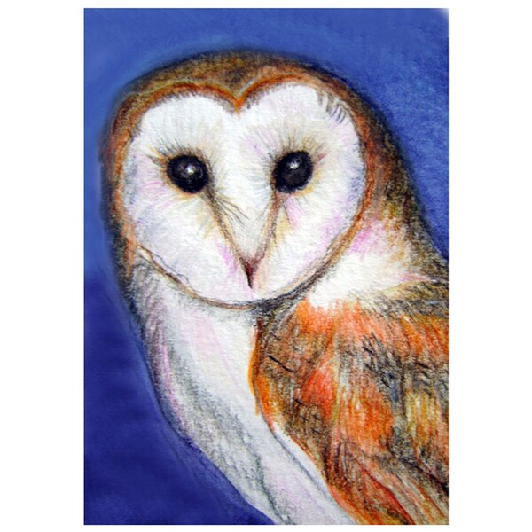 Emperor Hawk Moth Insect Watercolour Signed Limited Edition Print From ...