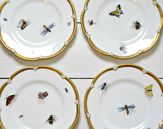 Set of 4 Victorian Hand-painted Insect Plates Gilt Edged - Etsy