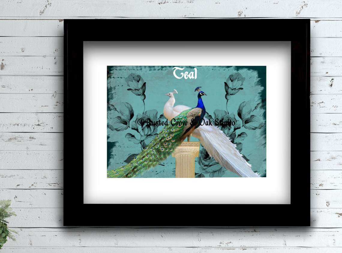White Peacock Blue Peacock Bird Pair Home Decor Wall Art - Etsy