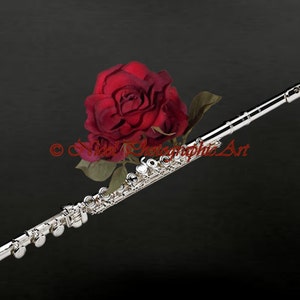 Set of 4 Art Prints Red Rose Black White Musical Instrument | Etsy