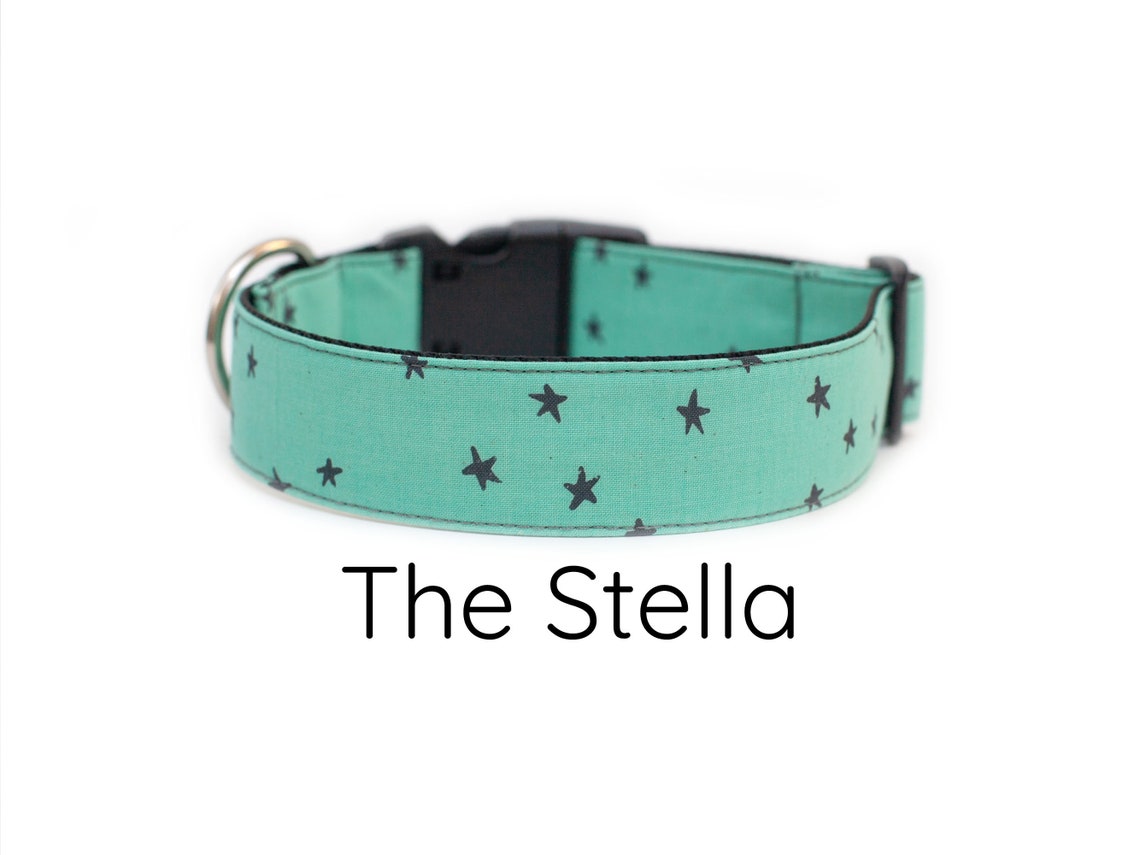 Star Dog Collar, Turquoise Star Dog Collar, Boy Dog Collar, Girl Dog ...