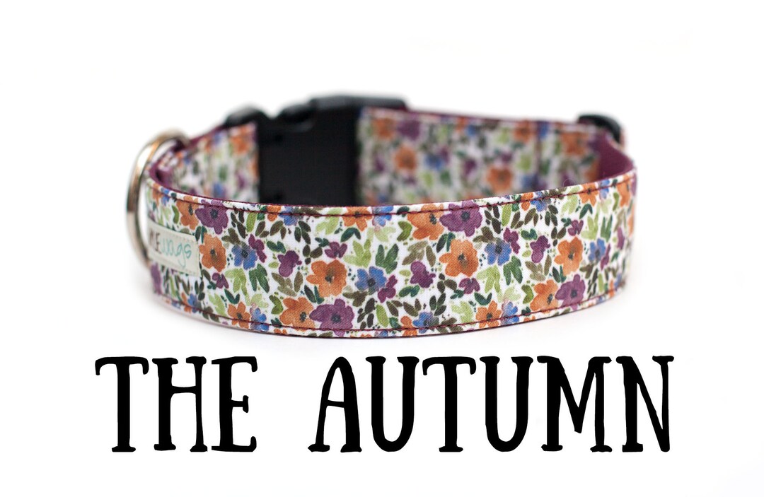 Fall Dog Collar Fall Floral Dog Collar Autumn Dog Collar - Etsy