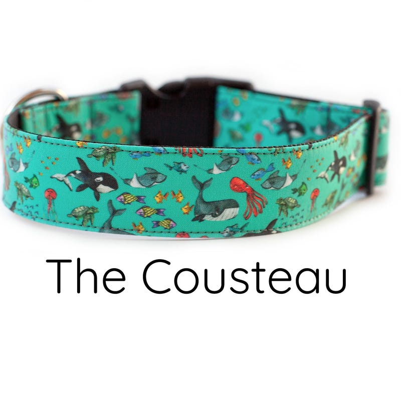 Nautical Dog Collars - Etsy