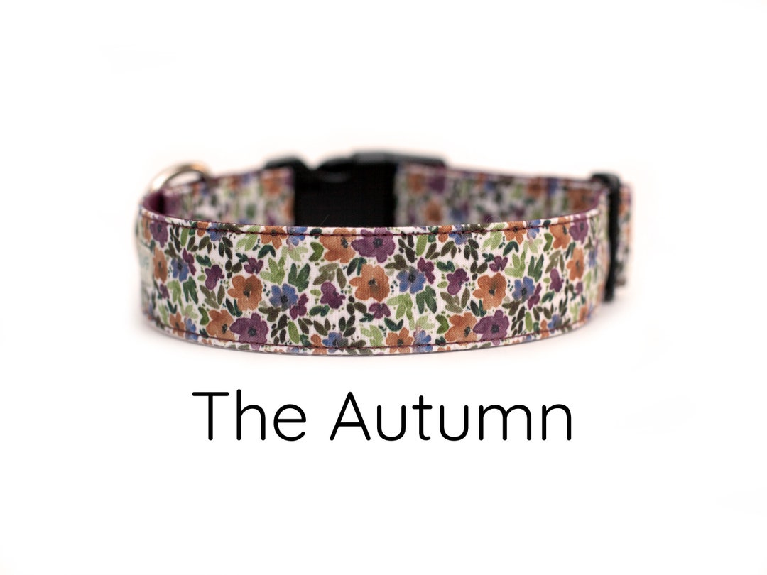 Fall Dog Collar, Fall Floral Dog Collar, Autumn Dog Collar, Fall Dog ...