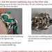 Elfweave Chainmaille Instructions, Easy Chainmaille Tutorial, Jewelry Design Instructions, PDF ...