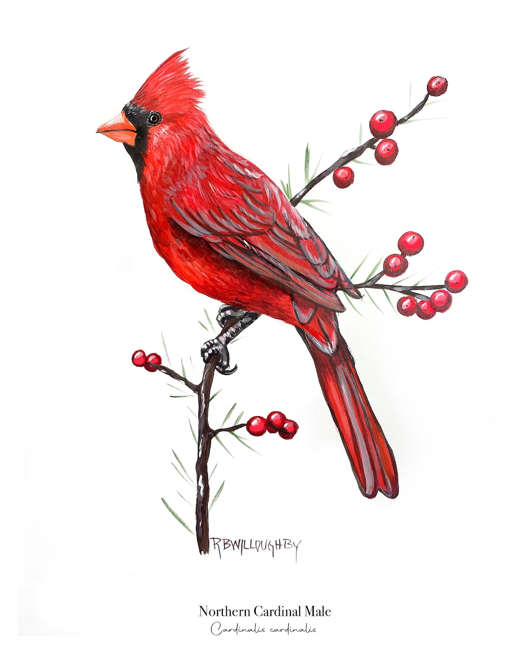 Northern Cardinal Male Painting - Digital Print - Etsy