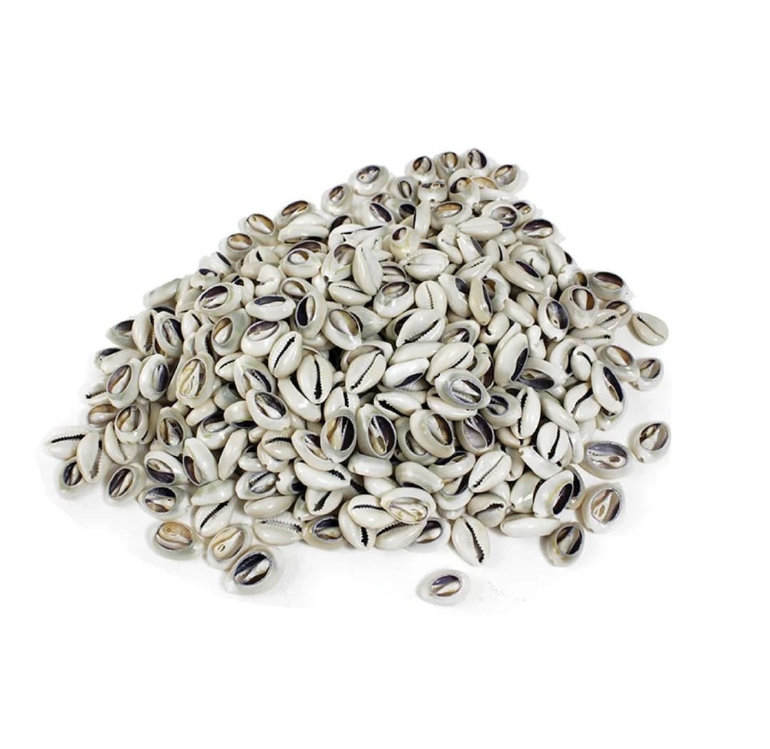 Kenyan Cowrie Shells Beads - Etsy